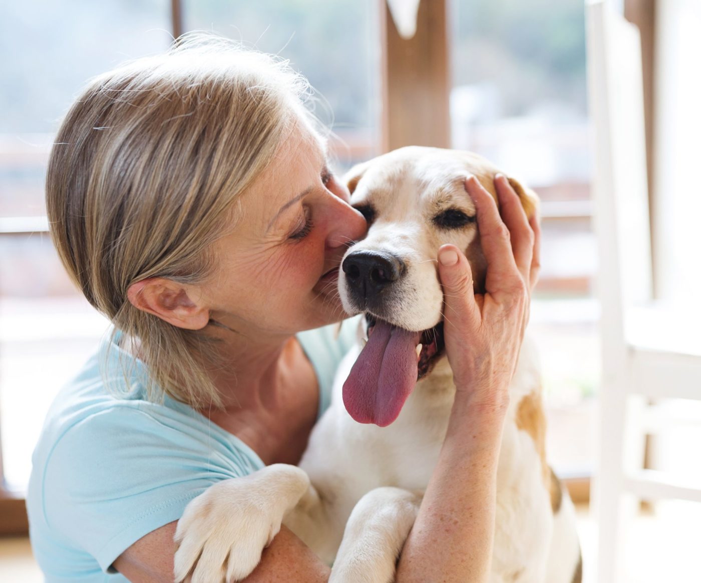 Tiergest tzte Therapien Tiere Helfen Menschen Zu Heilen tiergest-tzte-therapien-tiere-helfen-menschen-zu-heilen